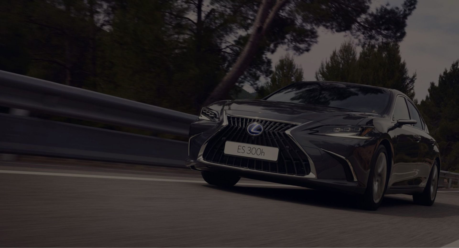 Emotion AI Digital Advertising: Lexus | MorphCast